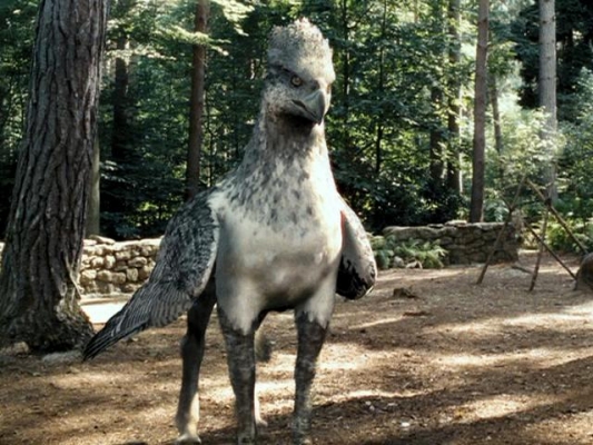 Świat Harry'ego Potter'a: Hipogryf